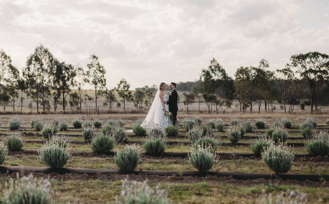 Weddings – Back Paddock Botanical